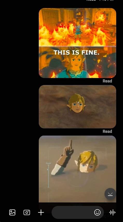 My Mom Reacts To Memes Of Link Zelda Amino