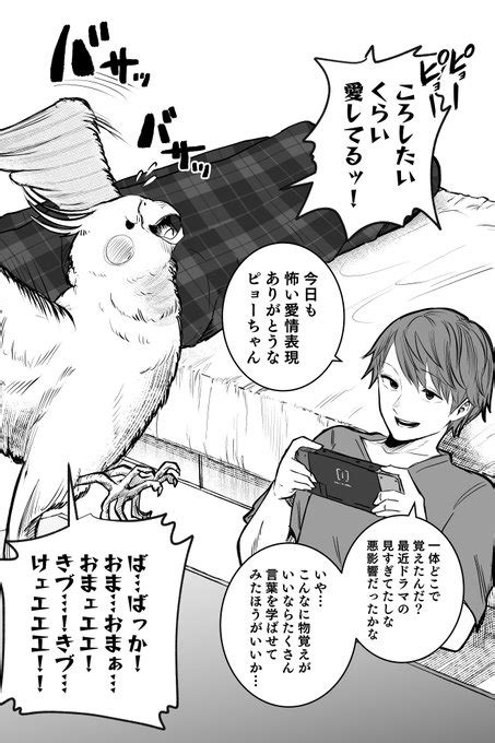 インコちゃんは伝えたい2 影山凌空マンガ さんのマンガ ツイコミ仮