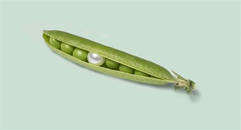 Smart Beta Compass State Street