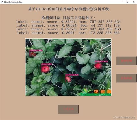 自建数据集，基于yolov7开发构建农田场景下杂草检测识别系统稻田杂草数据集 Csdn博客