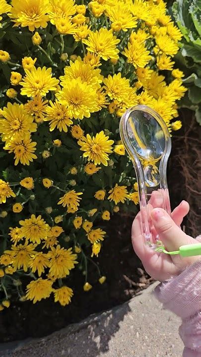 Magnifying 🔎 Glass Youtube