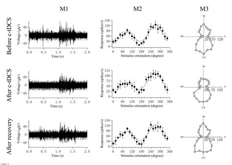 Figure 2 From Suppression Of Top Down Influence Decreases Both Behavioral And V1 Neuronal