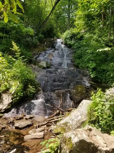 10 Best Trails And Hikes In Sylva Alltrails