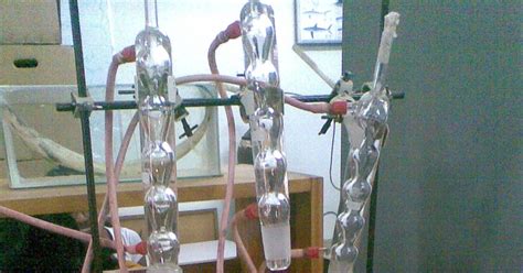 Experiments Food Science Experiment Crude Fat Analysis