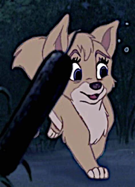 Angel Disneys Lady And The Tramp Photo 41009585 Fanpop