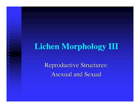 Solution Lichen Morphology Iii Studypool