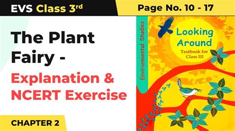 Class 3 Evs Chapter 2 The Plant Fairy Explanation And Ncert Exercise