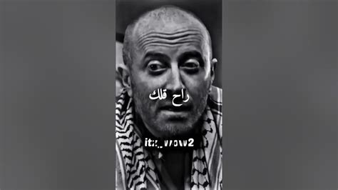 عادات النمس Youtube