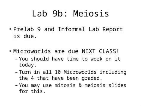 ppt lab 9b meiosis prelab 9 and informal lab report is due