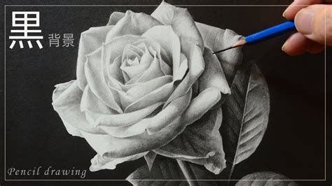 【鉛筆画】写実的に薔薇を描く「黒背景」絵画イラストメイキングpencil Drawing Youtube