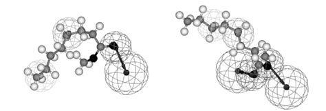 Methyl Octanoate Mapped On Or1g1 Hypothesis Model Left And Or52d1 Download Scientific Diagram