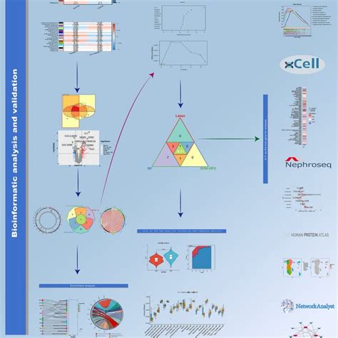 Study Flowchart Of The Whole Procedures Download Scientific Diagram