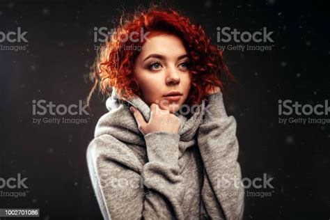 파란 눈을 가진 젊은 귀여운 빨간 머리 여자 초상화 회색 까마귀를 가까이에서 자신을 포장 개념에 대한 스톡 사진 및 기타 이미지