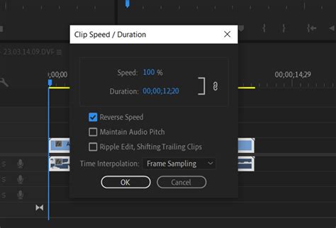 A Comprehensive Guide On Reversing Premiere Pro Clip