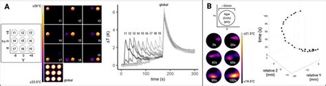 Illustration Of Mfh Target Control A Thermal Camera Sequence Of Download Scientific Diagram