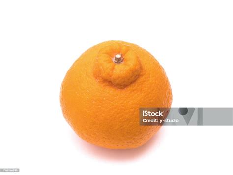 데코 논 이라는 이름의 일본 감귤 한라봉에 대한 스톡 사진 및 기타 이미지 한라봉 0명 감귤 Istock