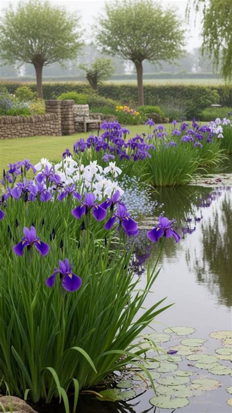 15 Stunning Iris Flowers Garden Ideas For Spring
