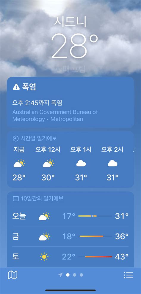 흔한 호주 크리스마스 트리