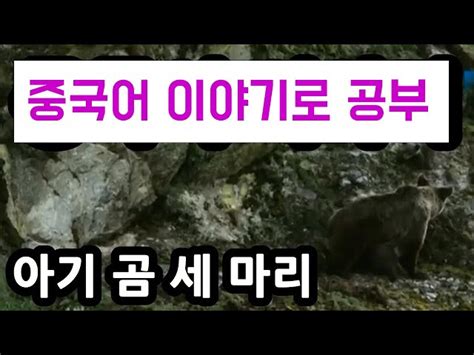 126 중국어 이야기 영상 속 학습자료 고정 댓글 확인 듣기 말하기 표현 실생활 독학 독해 번역 통역 섀도잉 발을 실제 여행 단어 어휘 실생활 배우기 학습 쓰기 작문