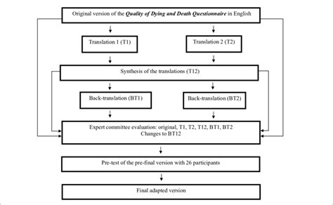 flowchart of the translation and cross cultural adaptation steps