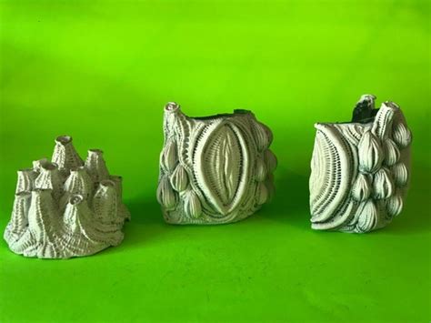 Mycetic Spore Kit