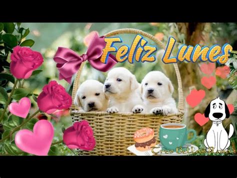 Feliz Lunes Perro