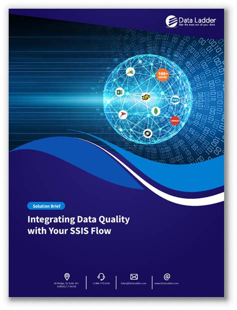 Data Ladder Guides Integrating Data Quality With Your Ssis Data Flow