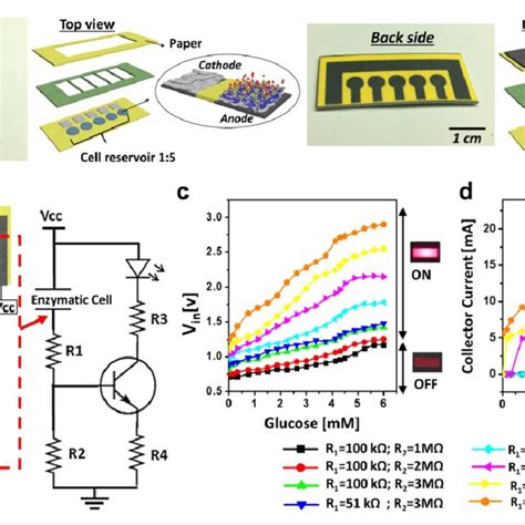 A Schematic Diagram Of Oect Based Glucose Sensor Integrated With