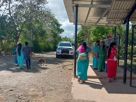 Instituto De Mercadeo Agropecuario On Twitter Chiriquí La
