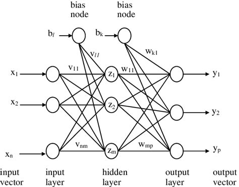 Representation Of Three Layer Feed Forward Ann Download Scientific