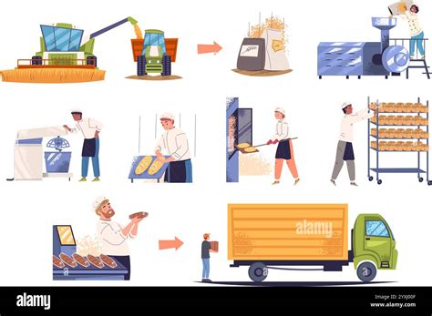 Bread Production Process Stock Vector Images Alamy