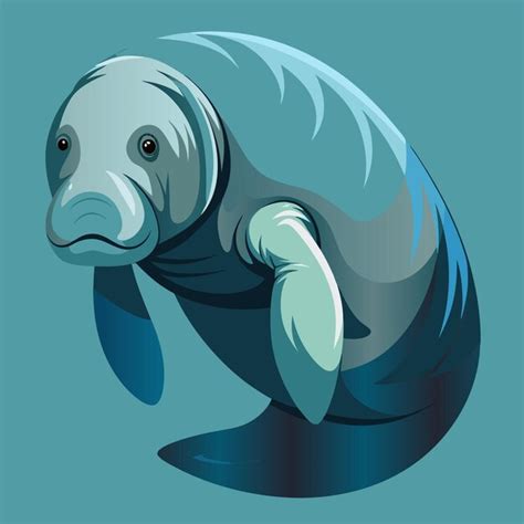 Page 8 Porpoise Vectors And Illustrations For Free Download