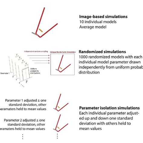 We Conducted Three Sets Of Computational Simulations With Our Model
