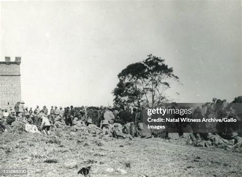 Bambatha Photos And Premium High Res Pictures Getty Images