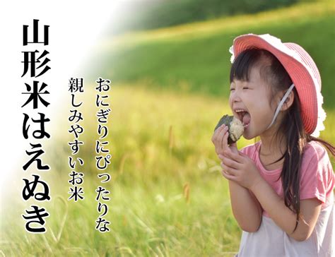 新米 米 10kg 山形県産 はえぬき 5kg×2袋 令和6年 お米 10kg 送料無料 北海道・沖縄は追加送料 あす着 10キロ 安い