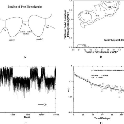Distribution Of Phi Values And Phi Values Versus Protein Primary