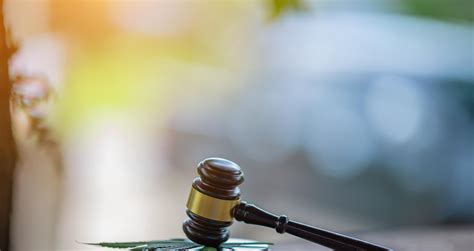 Medicinal Cannabis Regulatory Rapporteur