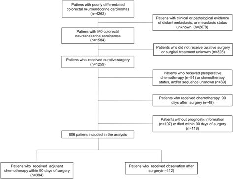Adjuvant Chemotherapy Versus Observation Following Resection