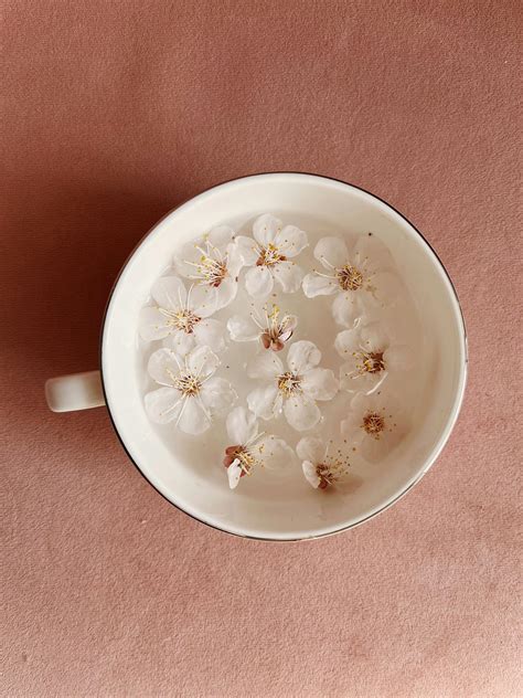 Trivia Background Photos Download The Best Free Trivia Background