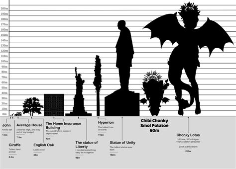 Size Chart Including The Chibi Chonky For Your Knowledge Rchonkylotus