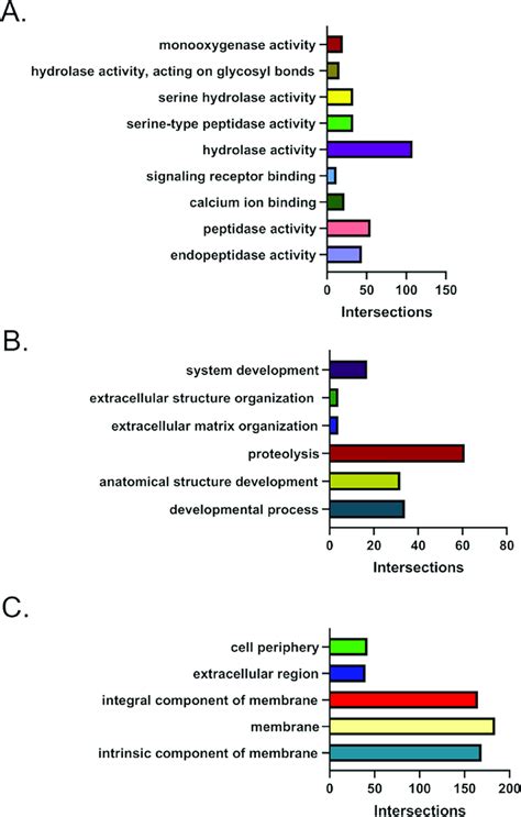G Cost Functional Profiling Reveals Genes Categories That Are