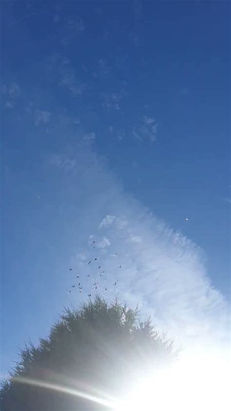 Bethany Simko Simkobethany Twitter