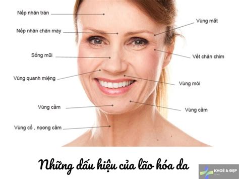 Lão Hóa Da Là Gì Nguyên Nhân Khiến Bạn Bị Lão Hóa Dr Spa