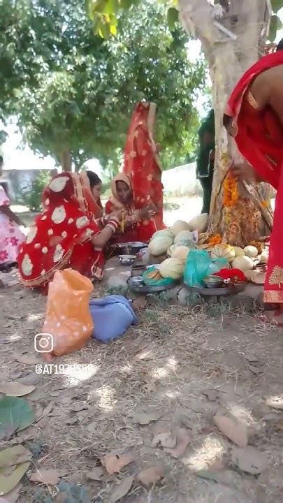 ️ Vat Savitri Pooja 👏👏👏 Youtube