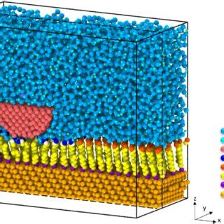 Perspective View Of Half Of The Model Showing The Tip Apex In Water Download Scientific Diagram