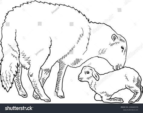 Sheep Lamb Drawing Simple Hand Drawn Stock Vector Royalty Free Shutterstock