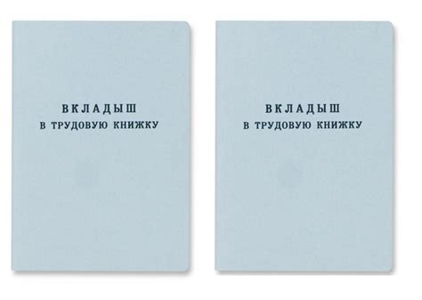 Вкладыш к трудовой книжке - 2 штуки купить на OZON по низкой цене ...