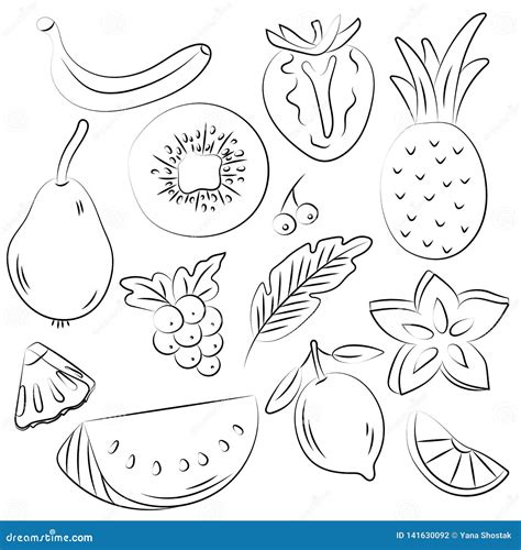 Hand Drawn Set Of Fruits In Sketch Style Stock Vector Illustration