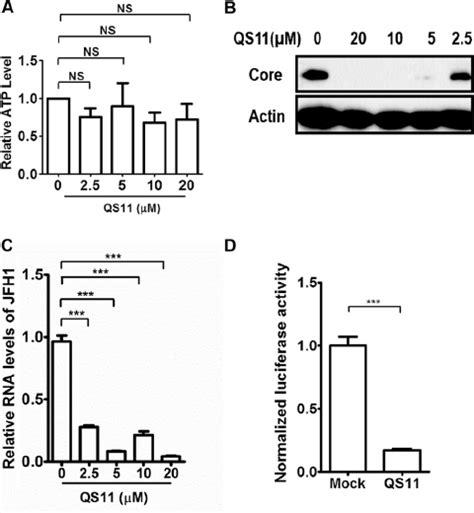 Qs11 Inhibits Hcv Replication A Huh 751 Cells Were Treated With
