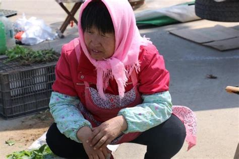 農村大集上夫妻賣菜苗受追捧，周邊的城裏人都要帶幾顆 每日頭條
